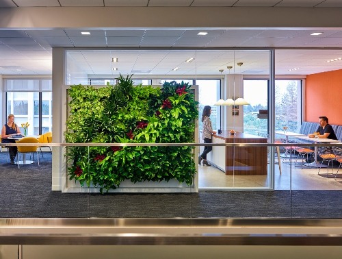 Desain Tempat Kerja Masa Depan dan Pentingnya Elemen Alam